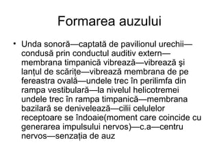 analizator acustico-vestibular | PPT