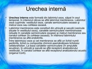 analizator acustico-vestibular | PPT