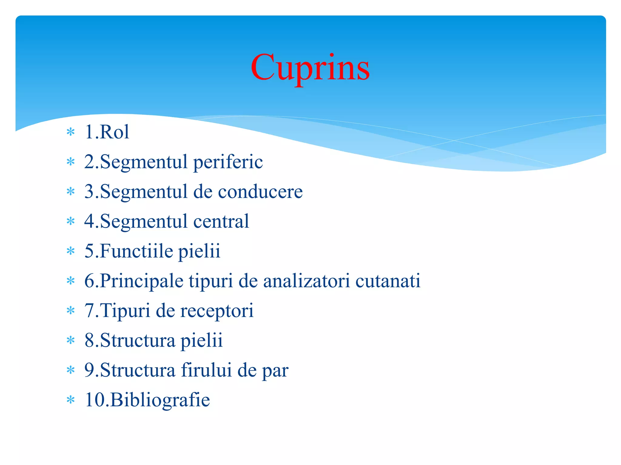 Analizatorul cutanat | PPTX