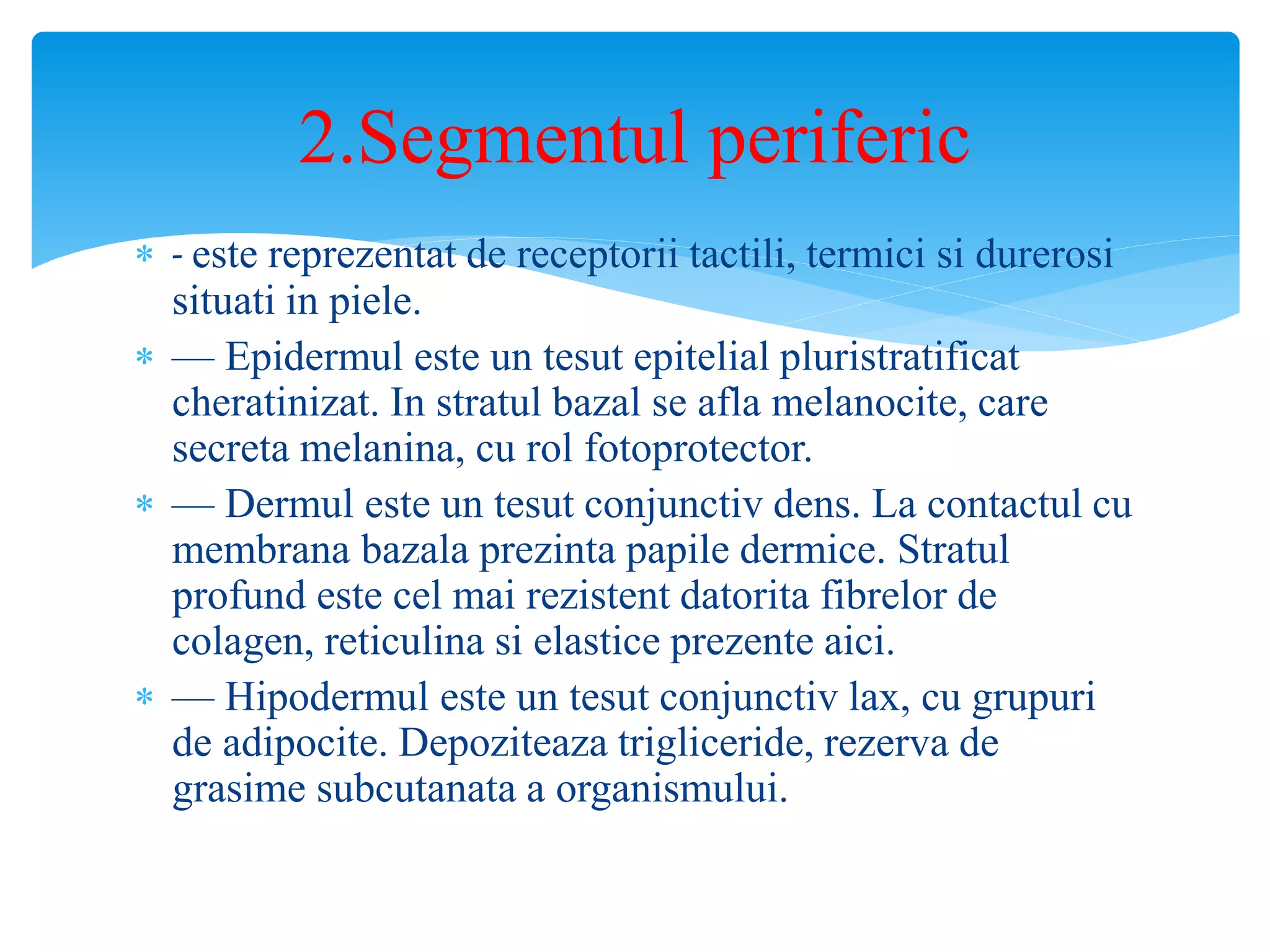 Analizatorul cutanat | PPTX