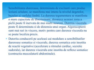 Analizatorul cutanat | PPTX