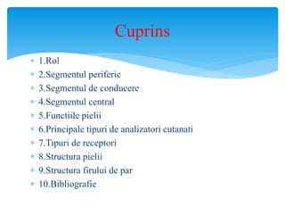 Analizatorul cutanat | PPTX