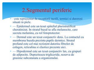 Analizatorul cutanat | PPTX