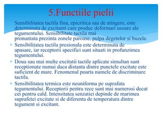 Analizatorul cutanat | PPTX