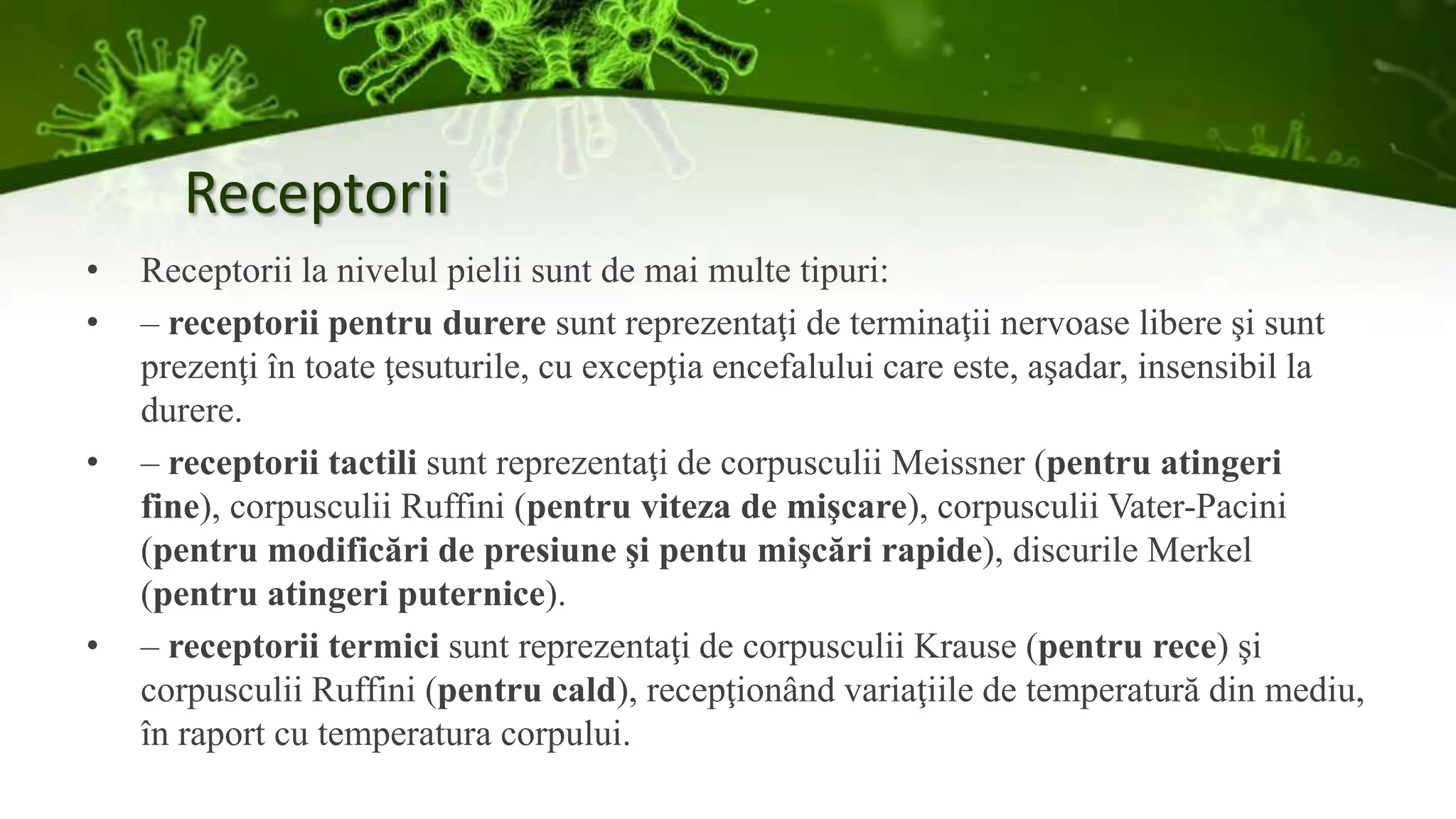 Analizatorul cutanat prezentare.pptx