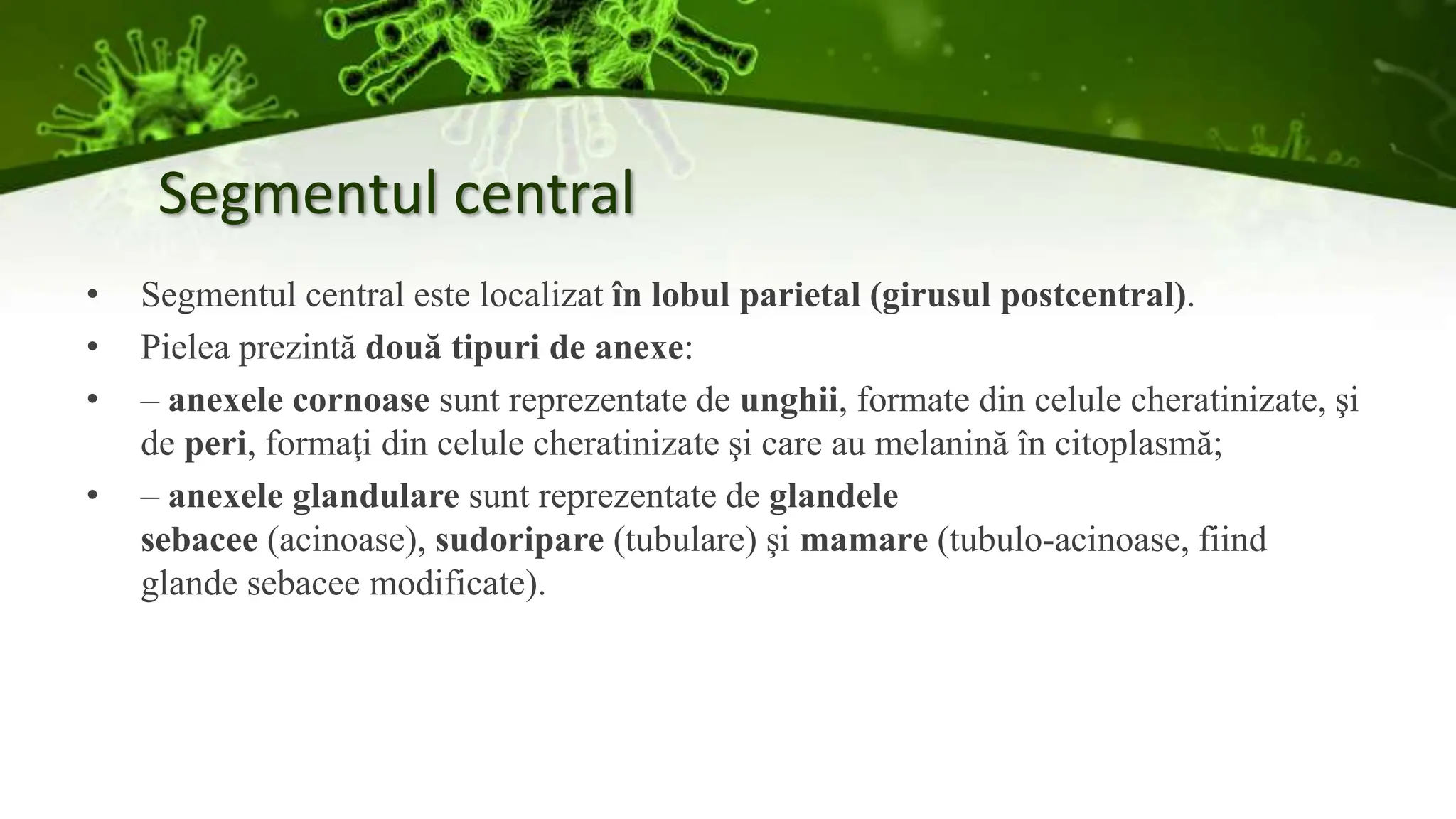 Analizatorul cutanat prezentare.pptx