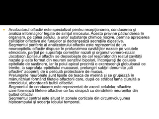 Analizatorul olfactiv . | PPTX