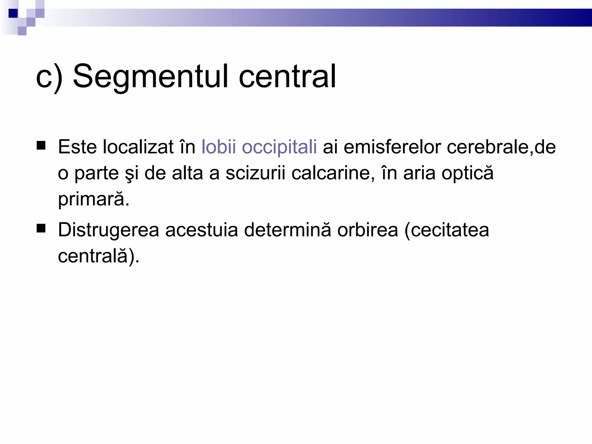 Analizatorul vizual | PPT