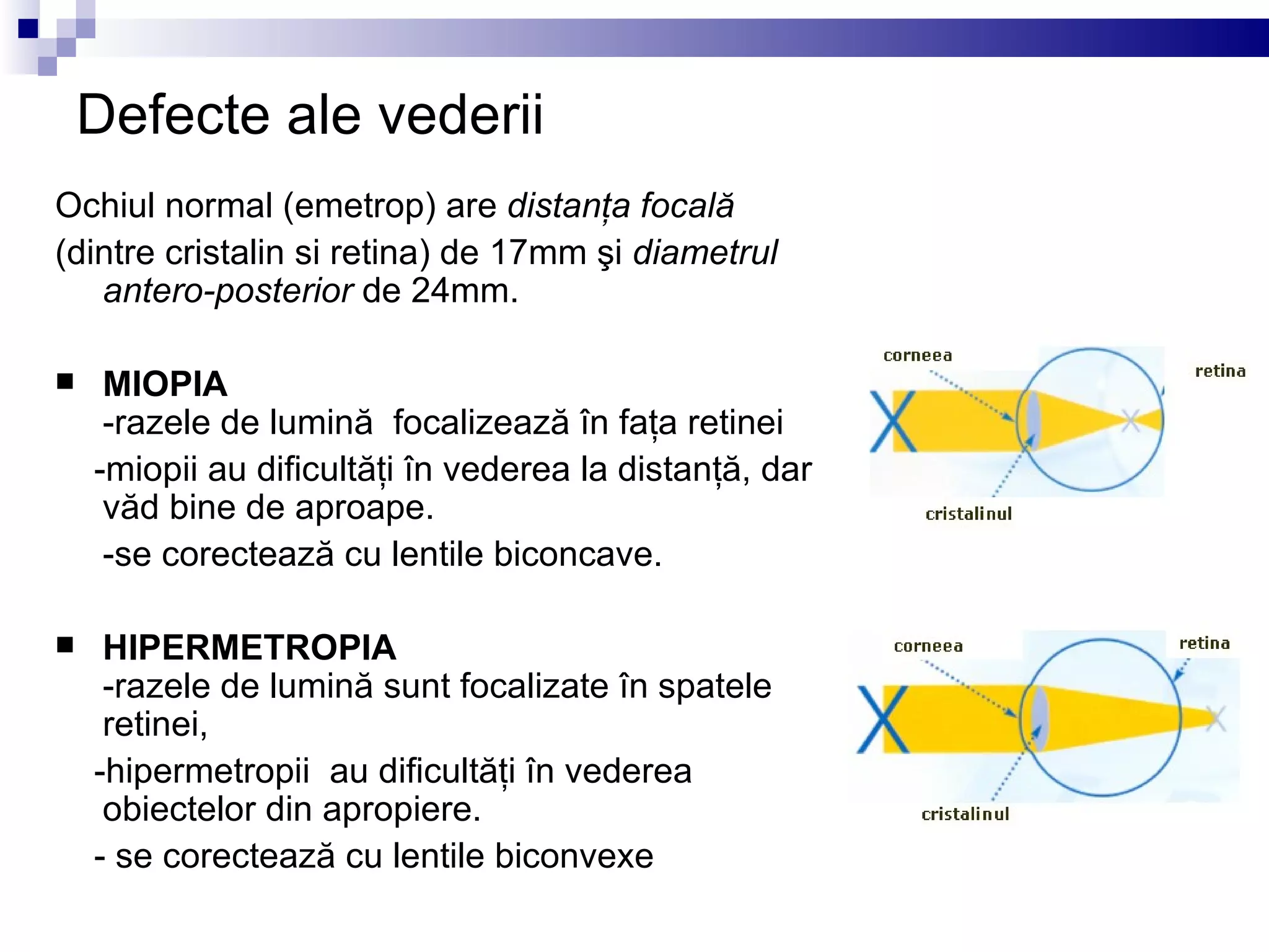 Analizatorul vizual | PPT