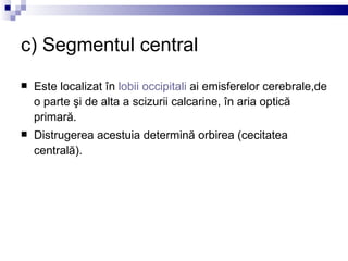 Analizatorul vizual | PPT