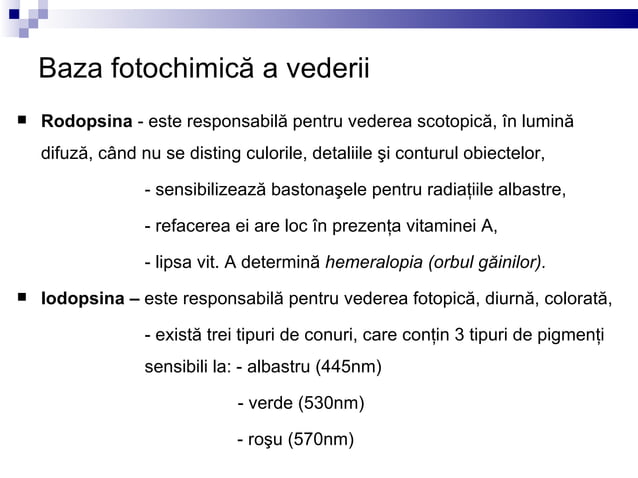 Analizatorul vizual | PPT