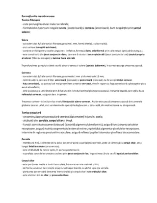 Anatomie: analizatorul vizual | DOCX
