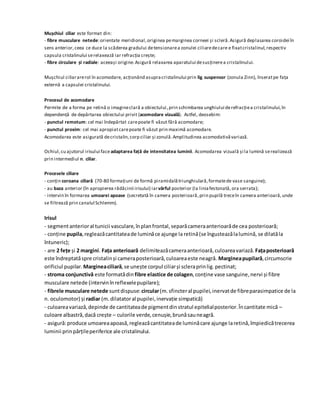 Anatomie: analizatorul vizual | DOCX