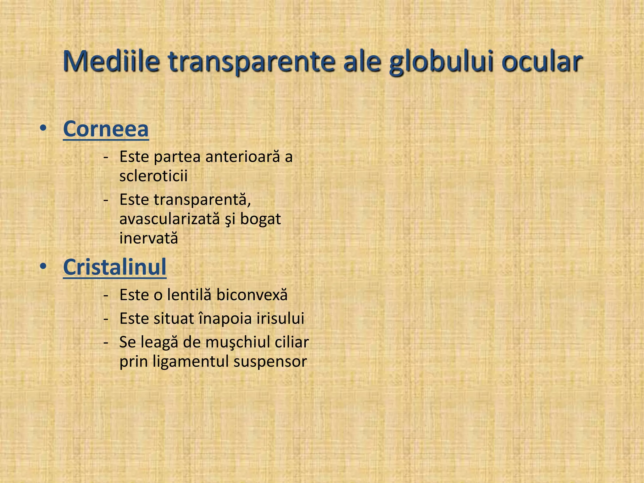 Analizatorul vizual | PPTX