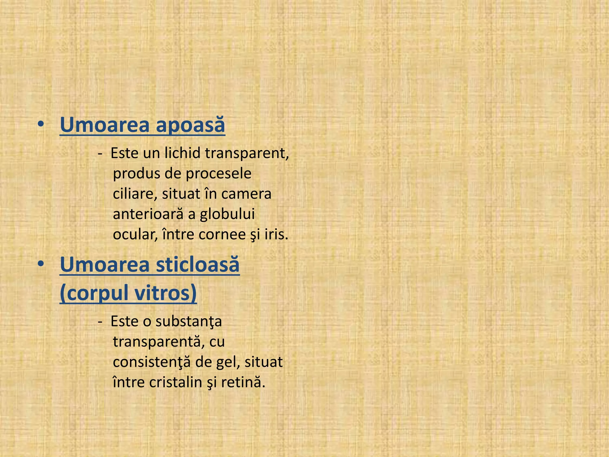 Analizatorul vizual | PPTX