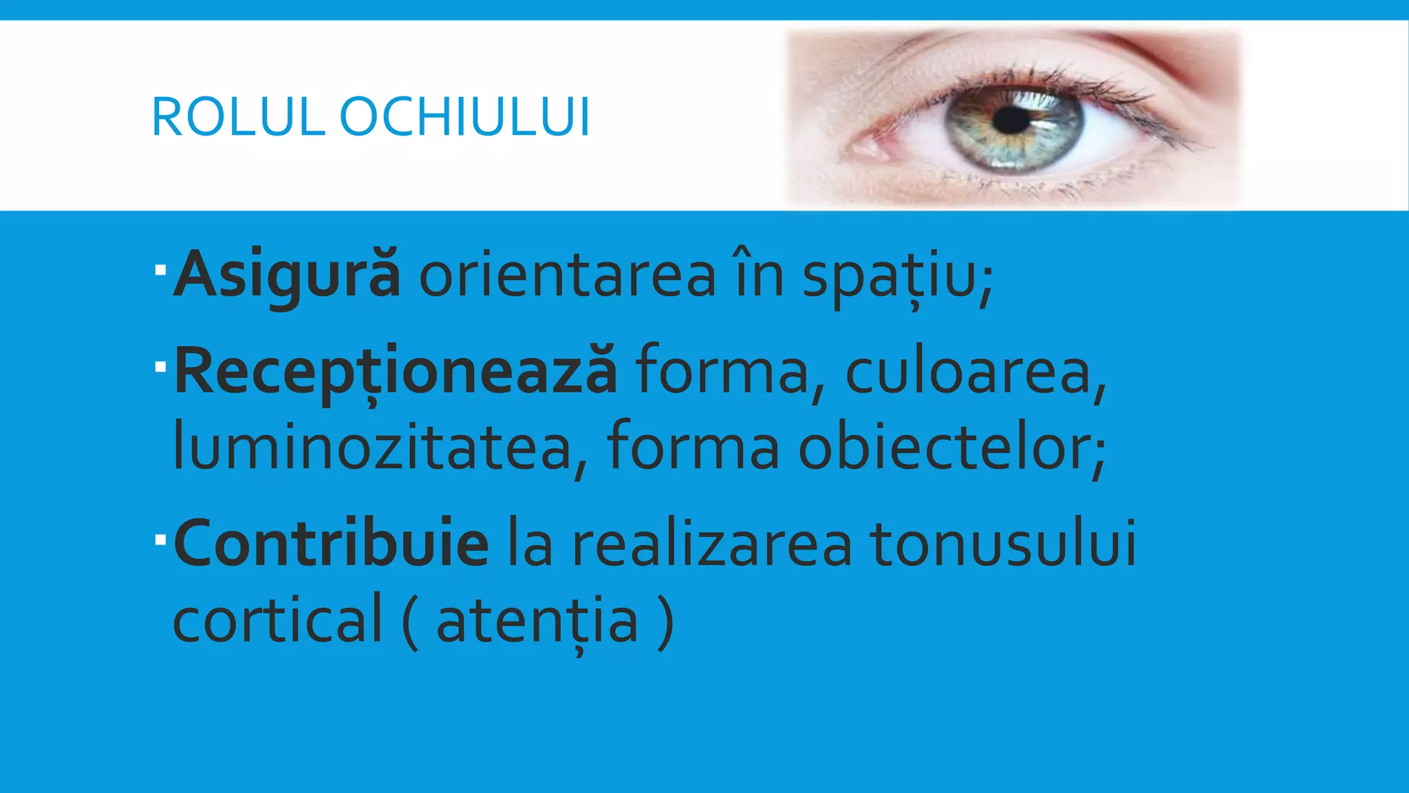 Analizatorul vizual. STIMULI VIZUALI.pptx
