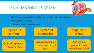 Analizatorul vizual. STIMULI VIZUALI.pptx