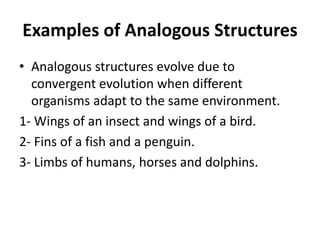 Analogous structures | PPTX