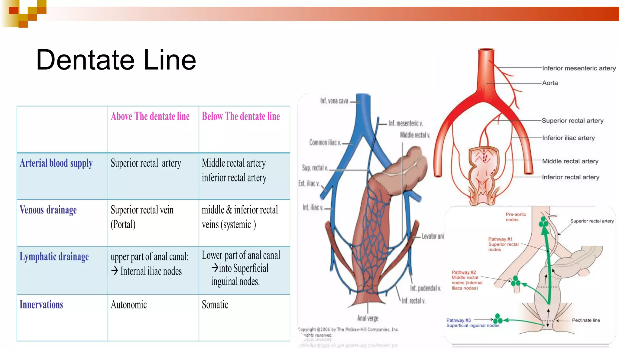 Anal Perianal Diseases PPT