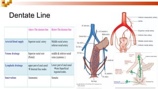 Anal & Perianal diseases | PPT