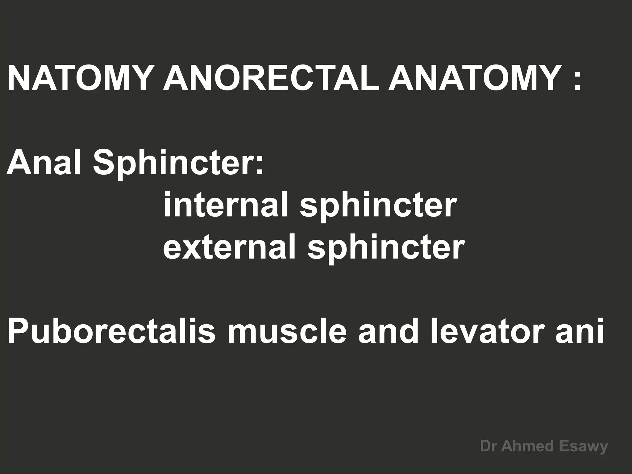 Anal perianal imaging part 1 CT MRI anatomy Dr Ahmed Esawy | PDF