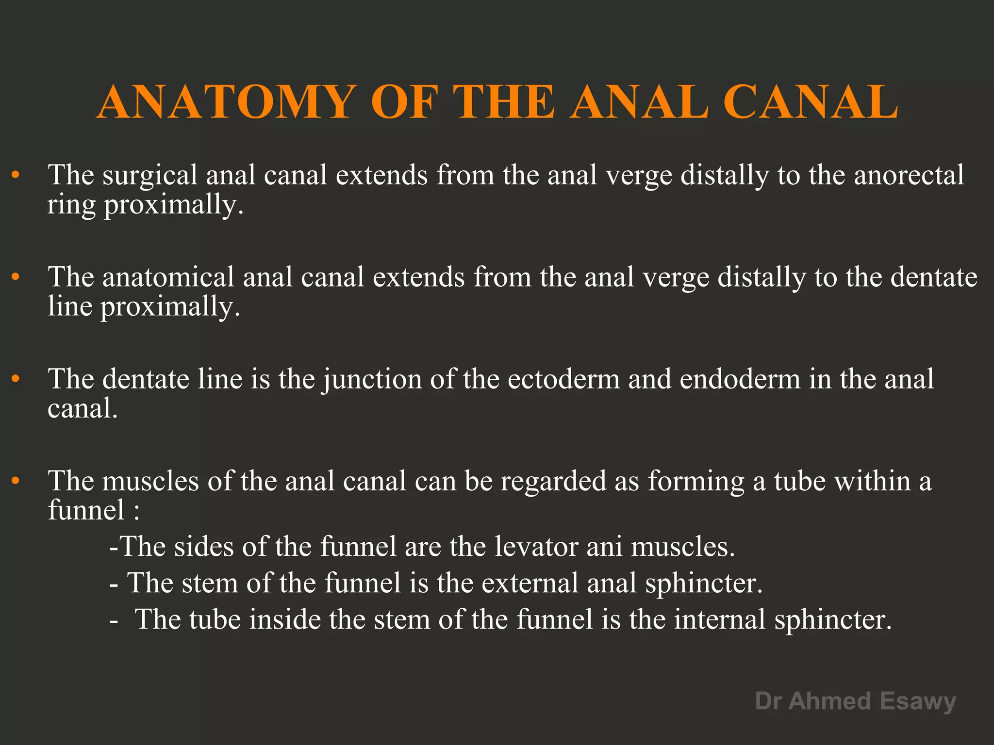 Anal perianal imaging part 1 CT MRI anatomy Dr Ahmed Esawy | PDF