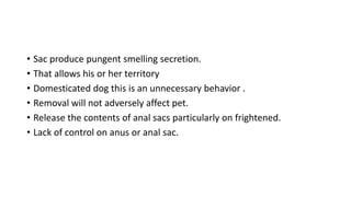 Anal sac diseases in animal.pptx | Digestive Disorders | Diseases and ...