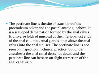 Anal stenosis | PPTX