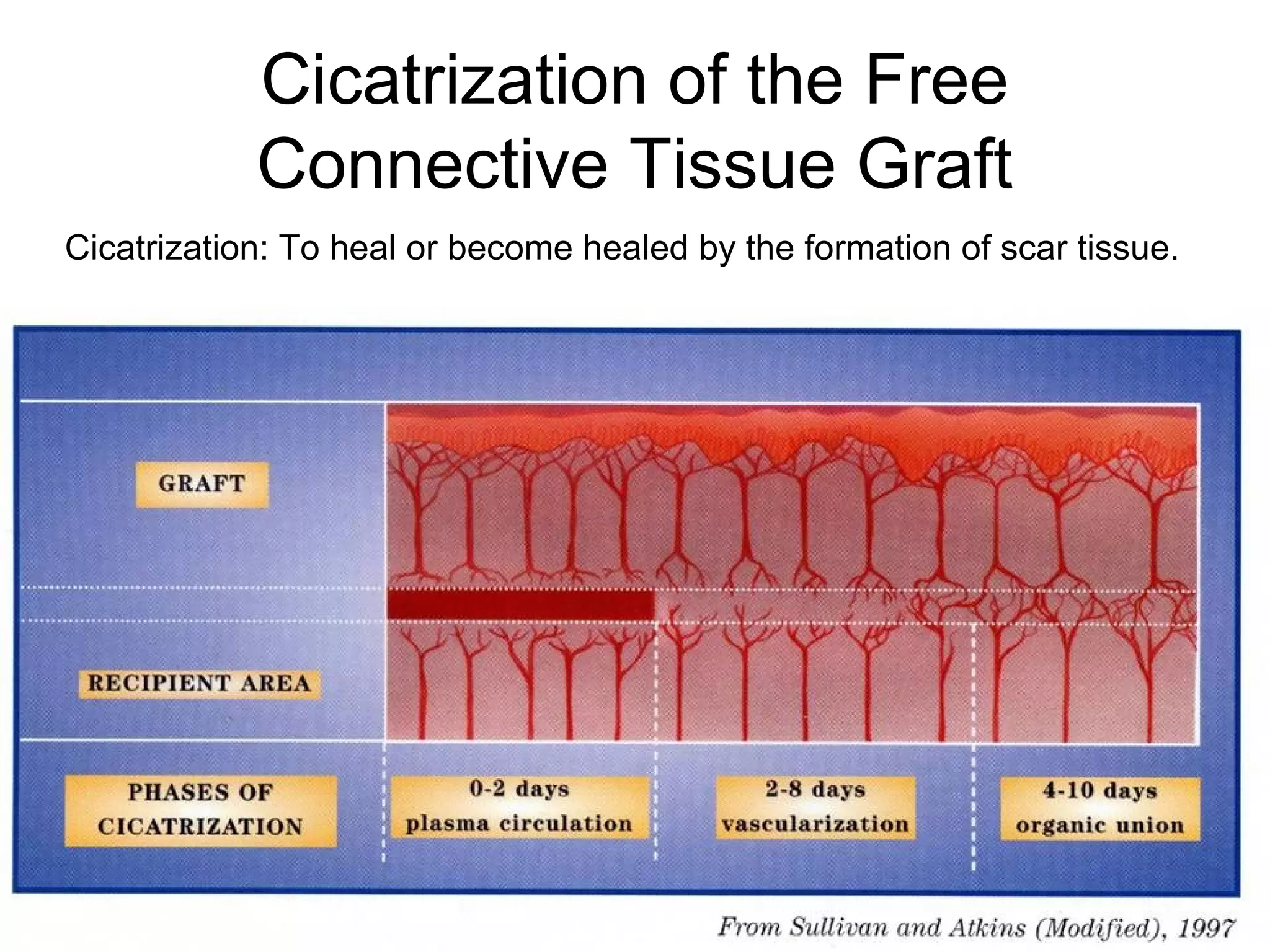 An Alternative To Autogenous Connective Tissue Grafting For Root