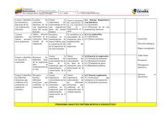 ANALÍTICO MORFOFISIOLOGÍA I-TRAYECTO 1.docx