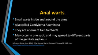 Anal Warts | PPTX