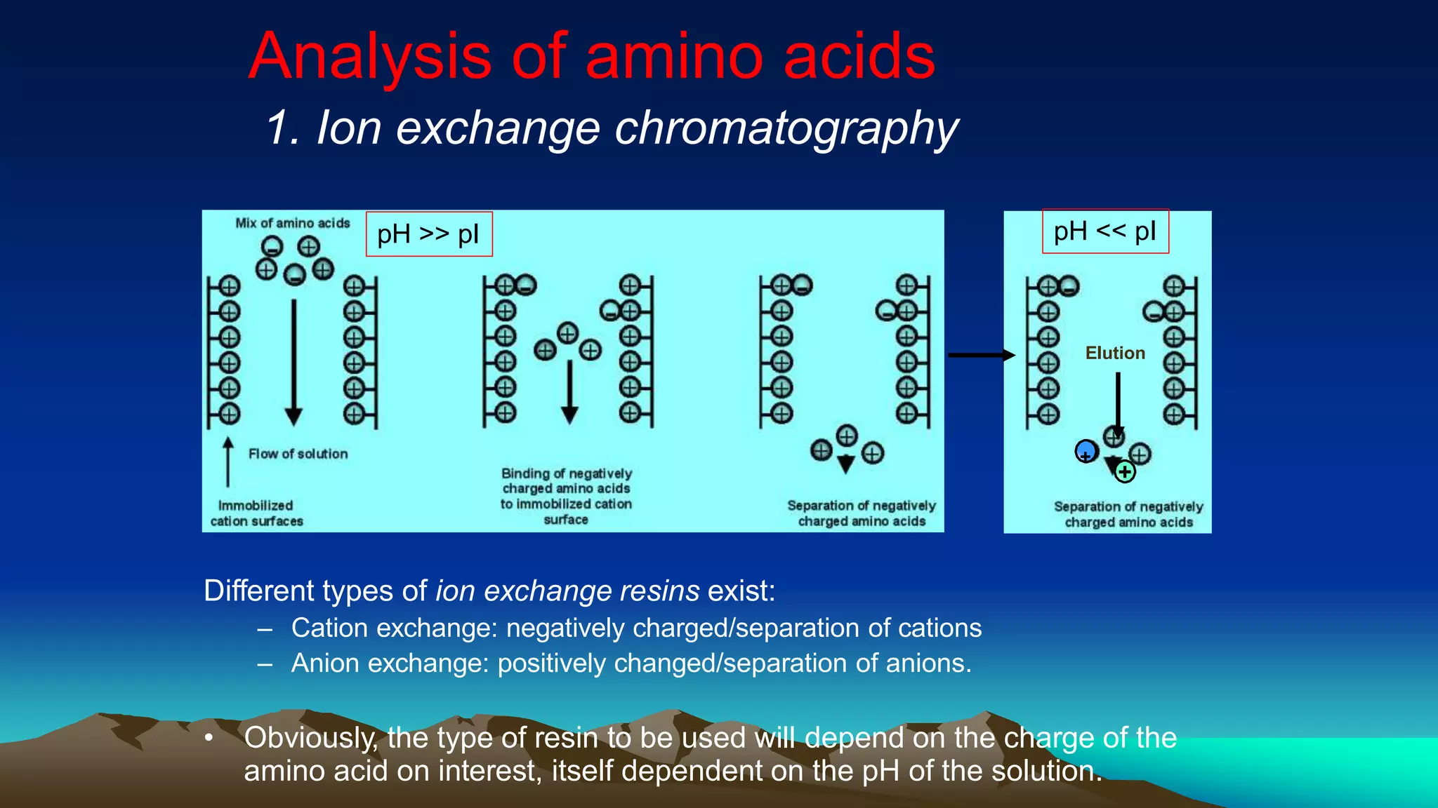 ANALYIS AND DETECTION OF AMINO ACIDS SLIDES.pptx
