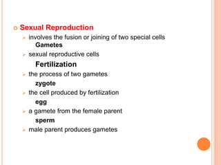 Cell Reproduction | PPTX