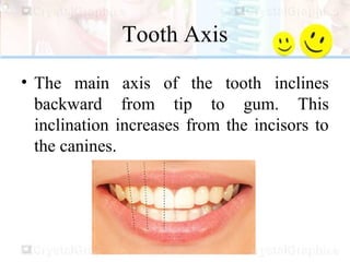 Analyse your-smile-new.ppt | Oral care | Personal Care