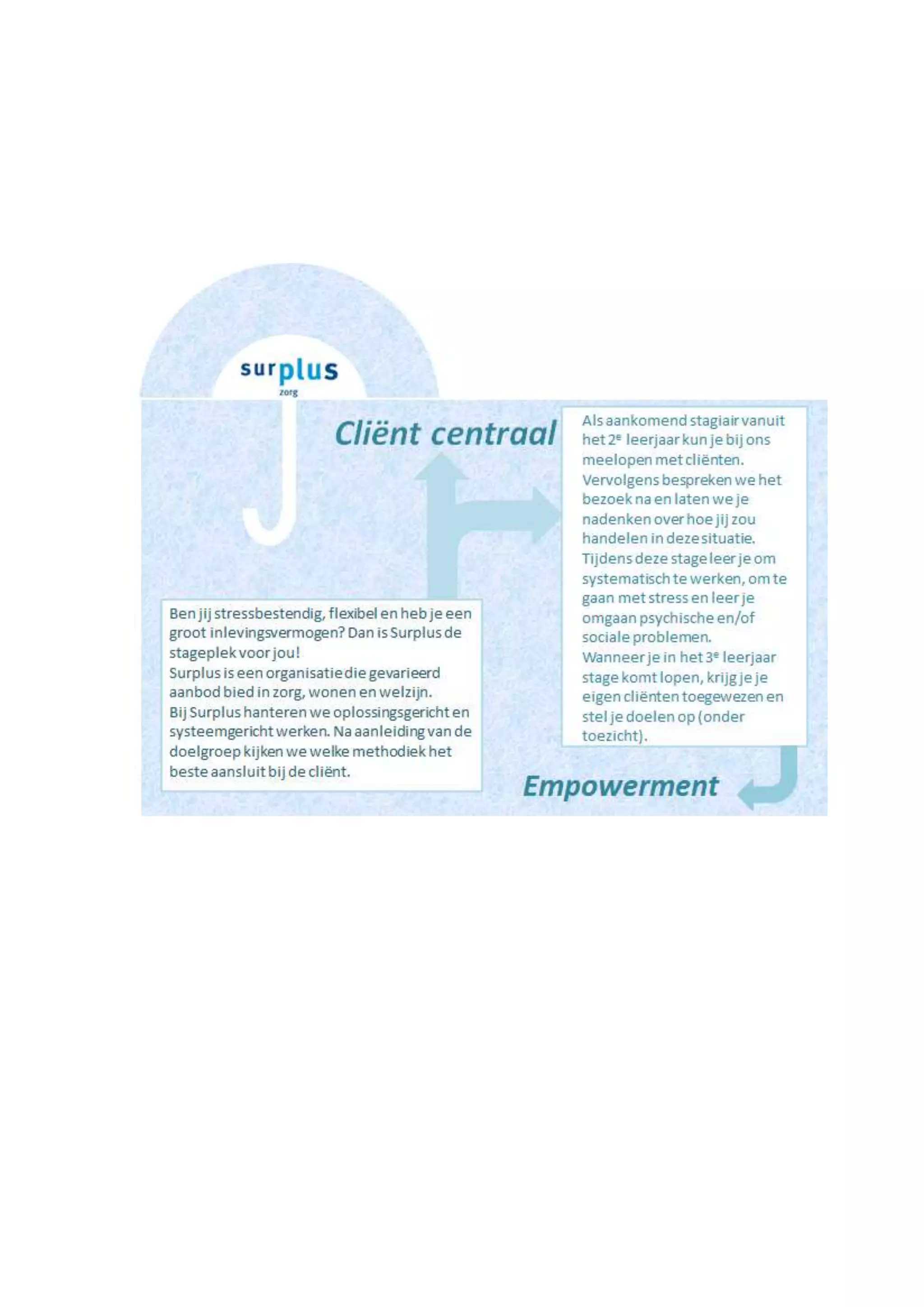Analyse werkveld Surplus | PDF