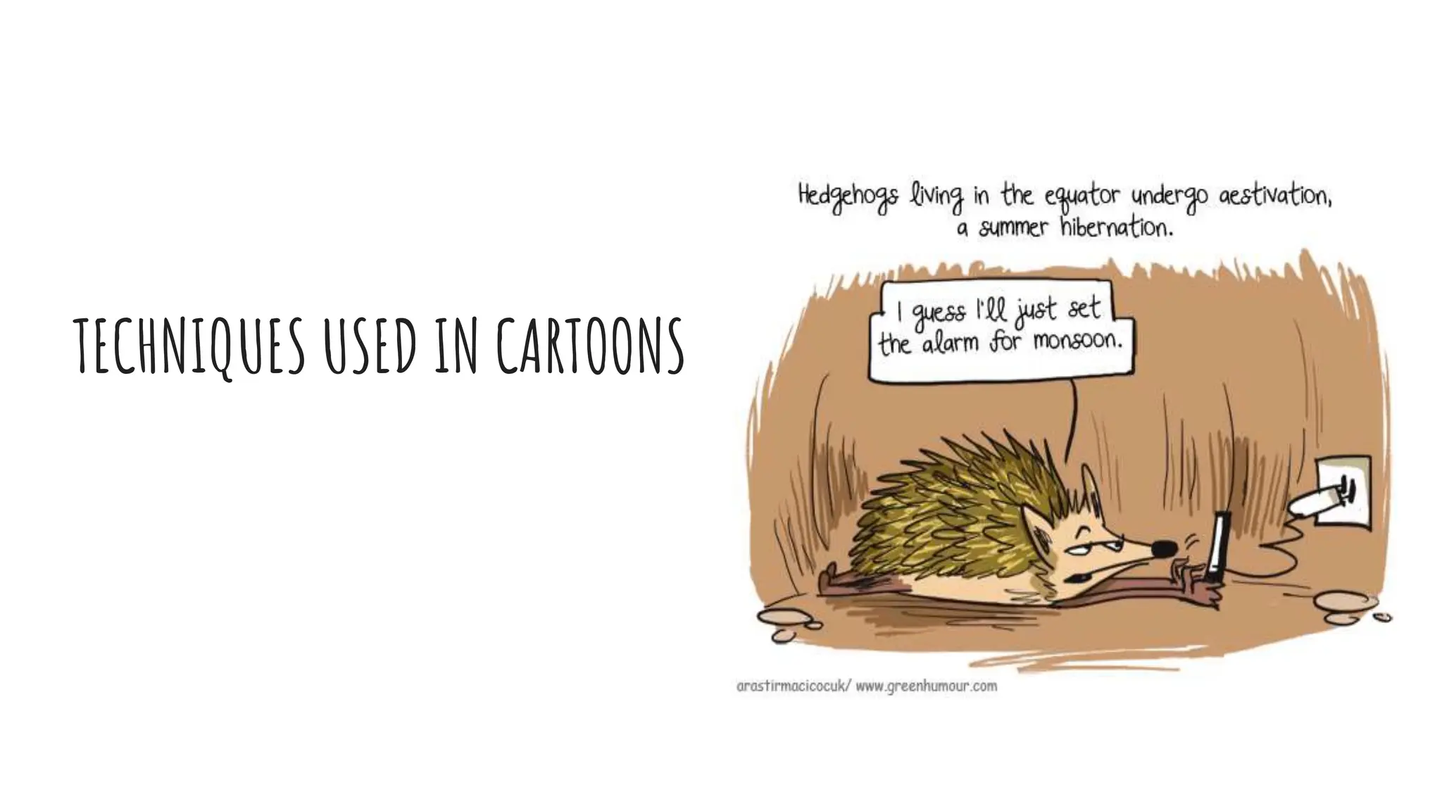 How to analyse cartoons in iB English language and lit | PPTX
