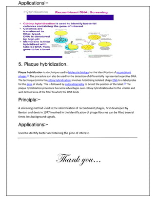 Principle and application of blotting techniques | PDF