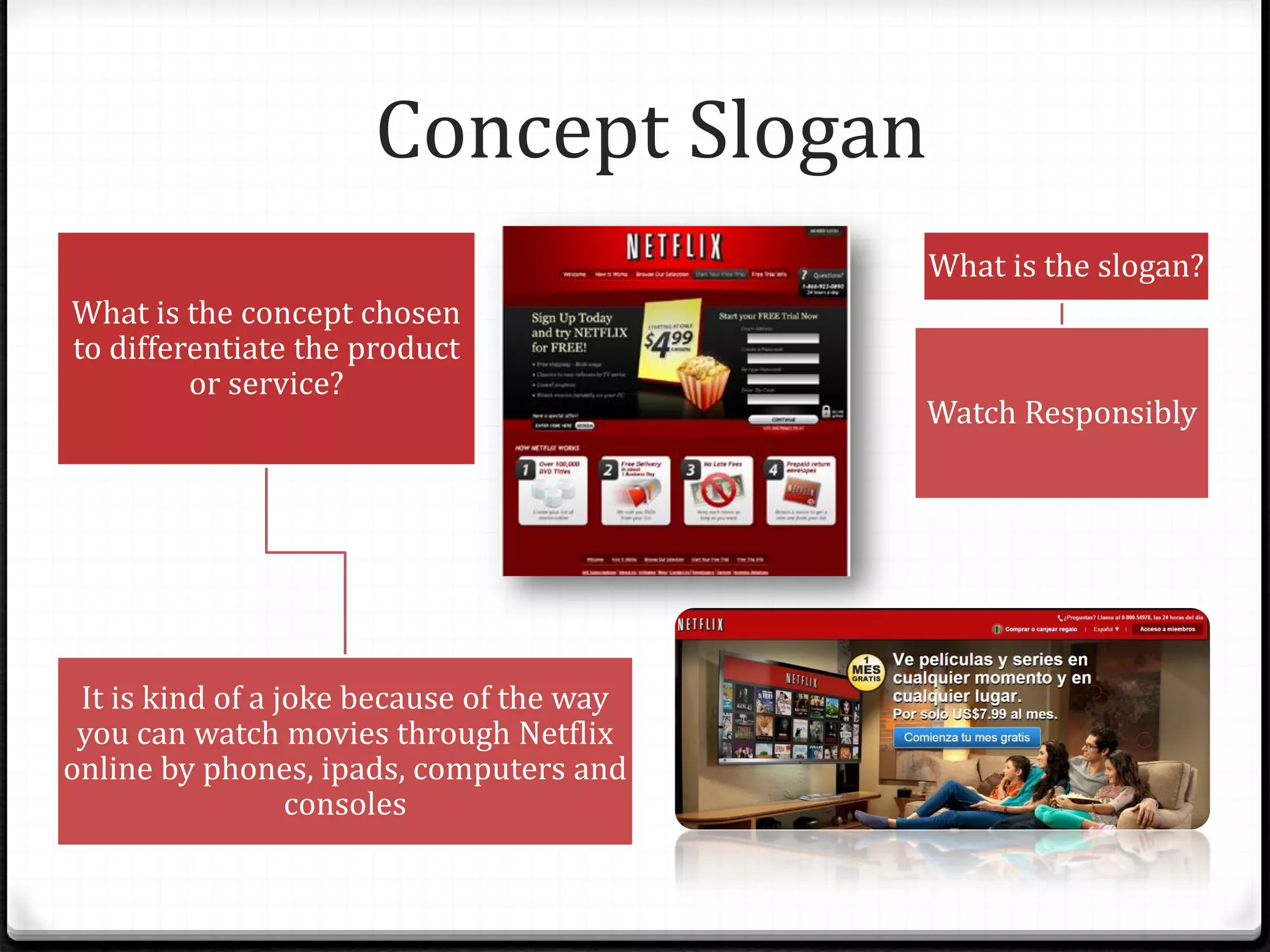 Netflix Campaign Advertisement Analysis | PDF