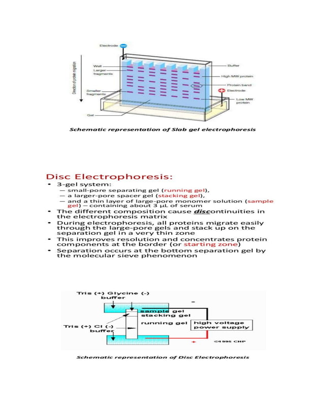 Electrophoresis | PDF