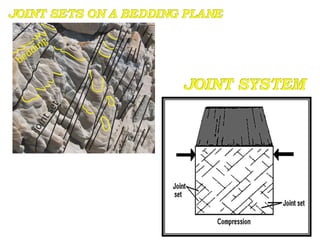 Analysis and interpretation of joint system | PPT