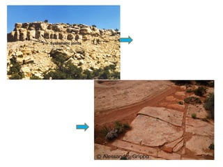 Analysis and interpretation of joint system | PPT