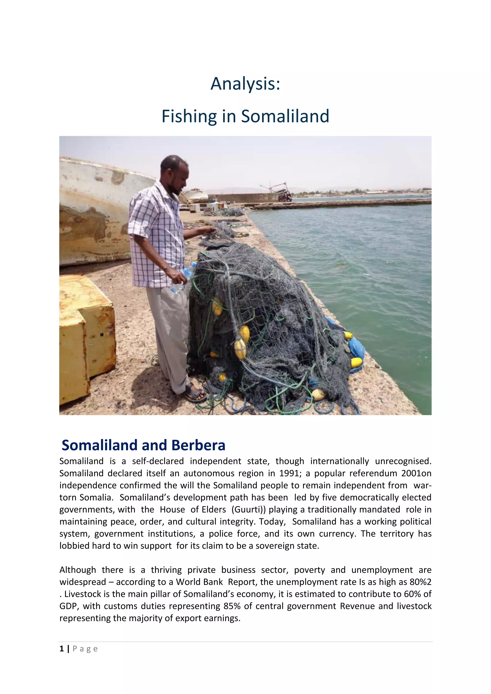 Analysis fishing somaliland | PDF