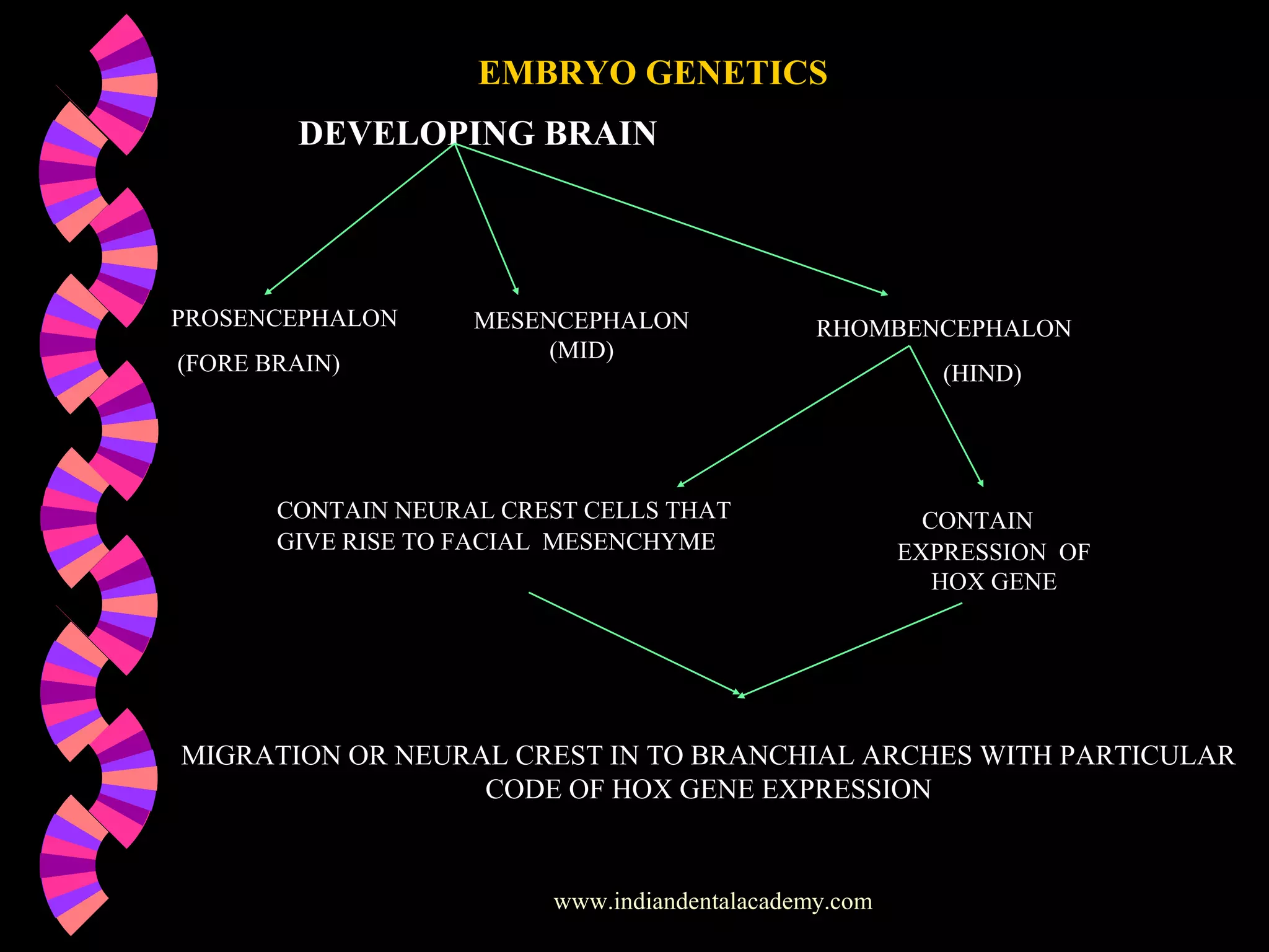Role of genetics in orthodontics | PPT