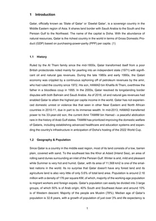 Analysis of a potential target market qatar pdf | PDF