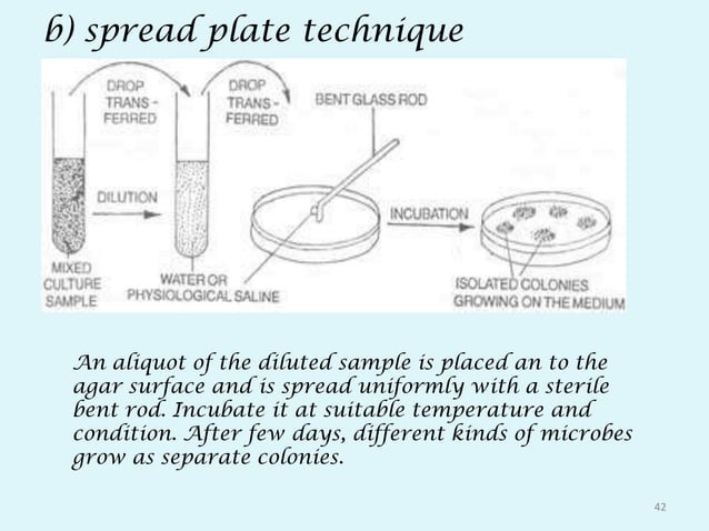 Analysis of cosmetics 112070804018 | PPTX