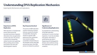 DNA Replication Overview Steps And future perspective | PDF
