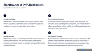 DNA Replication Overview Steps And future perspective | PDF