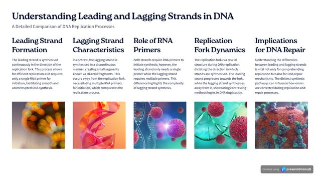 DNA Replication Overview Steps And future perspective | PDF