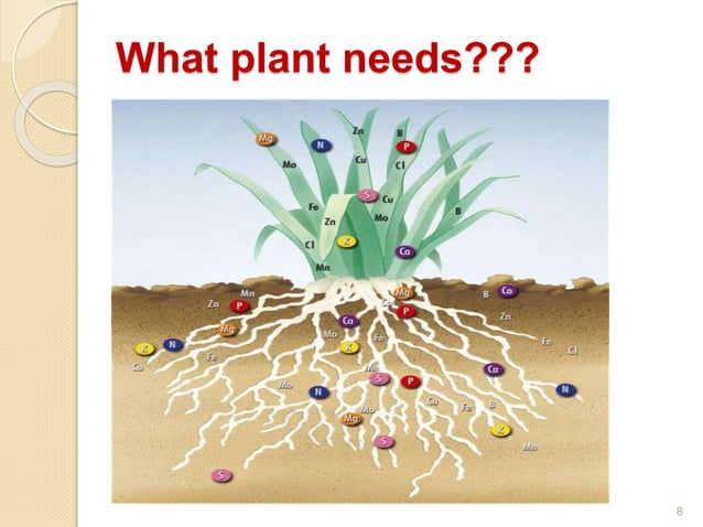 Analysis of fertilizer | PPTX | Gardening | Home & Garden