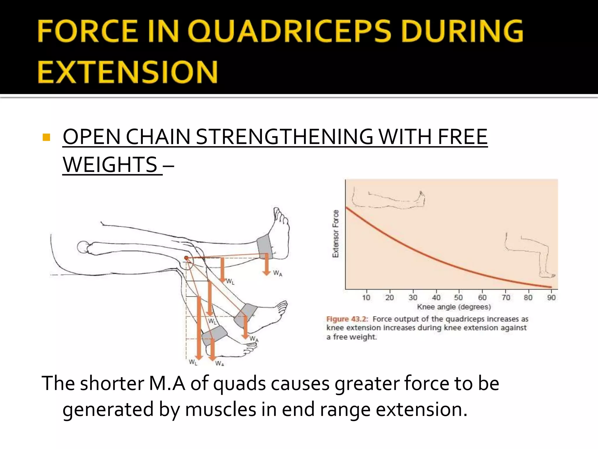 Forces on knee joint during activity | PPTX